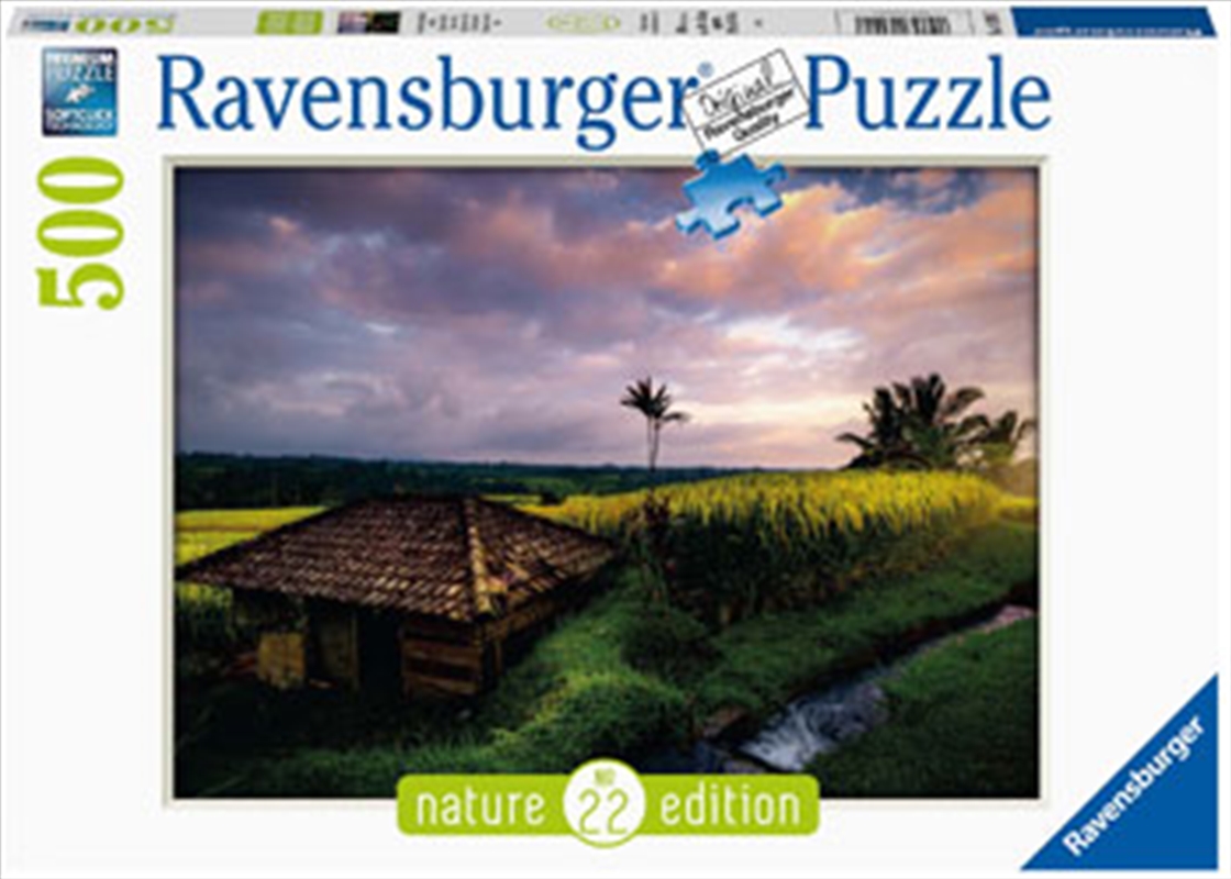 Bali Rice Fields 500 Piece | Sanity