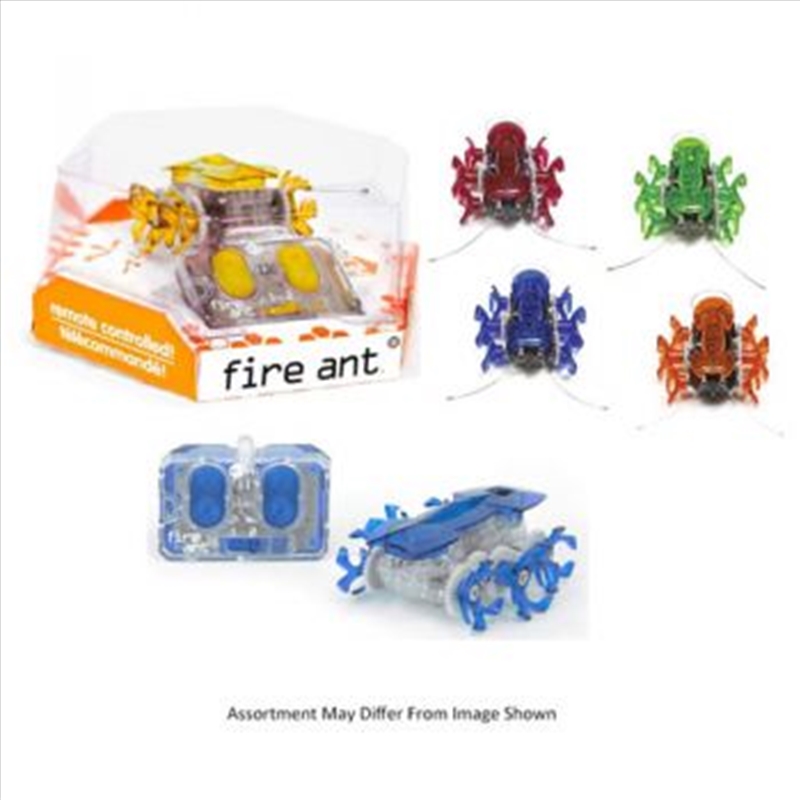 Buy Hex Bug Fire Ant assorted (Sent At Random) Online | Sanity