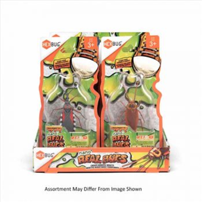 Buy Hex Bug Nano Real Bugs Single assorted (Sent At Random) Online | Sanity