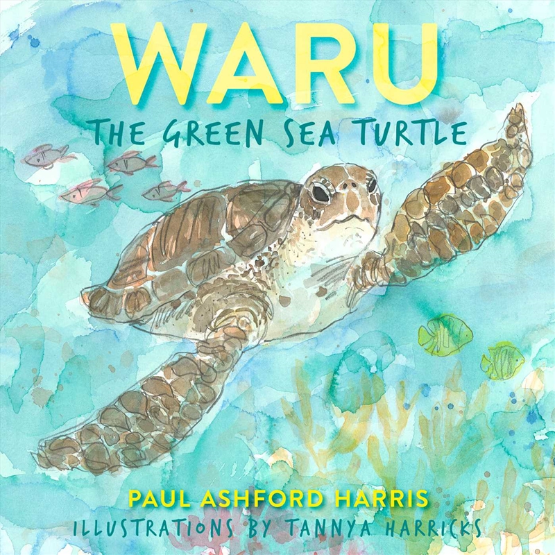 Buy Waru the Green Sea Turtle Online | Sanity
