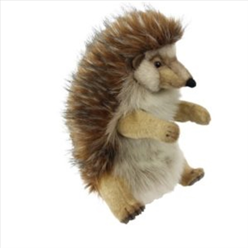 Buy Hedgehog Puppet Online | Sanity