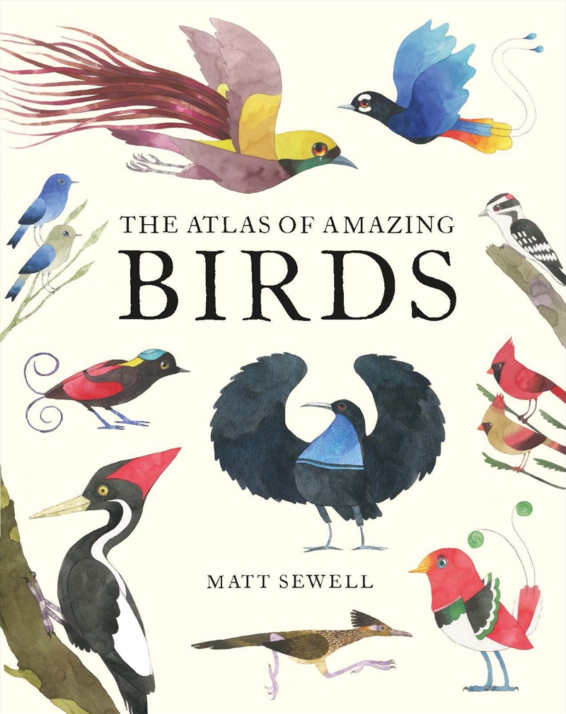 Buy Atlas Of Amazing Birds Online | Sanity