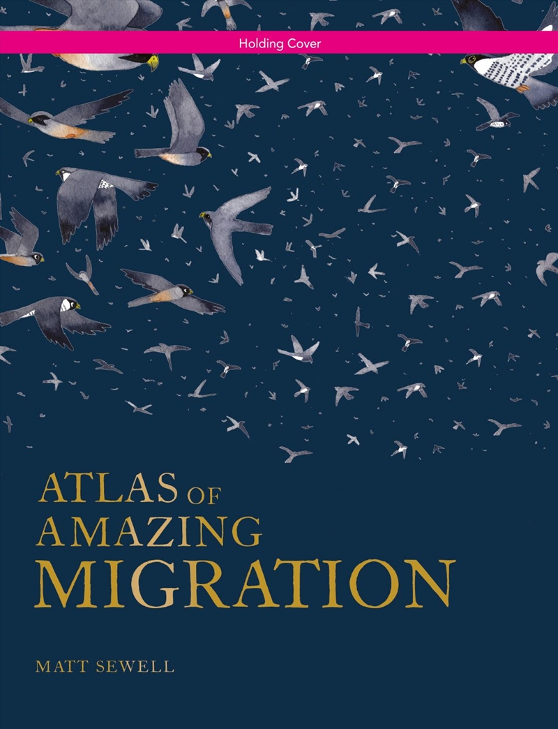 Buy Atlas Of Amazing Migration Online | Sanity