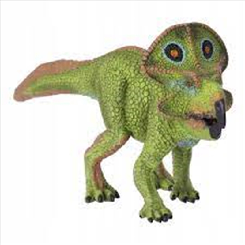 Buy Papo - Protoceratops Figurine Online | Sanity