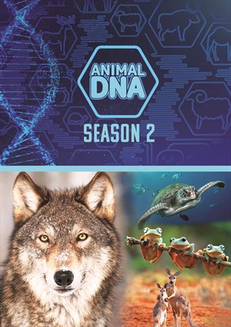 Buy Animal Dna; S2 on DVD | Sanity Online