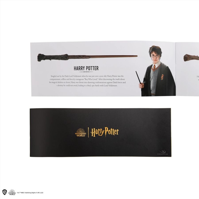 Buy Harry Potter - Harry Potter Collector Wand Online | Sanity