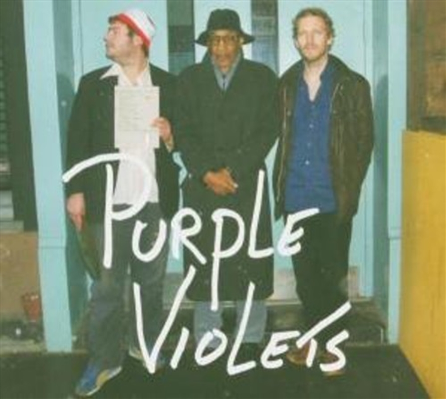 Buy Purple Violets Online | Sanity