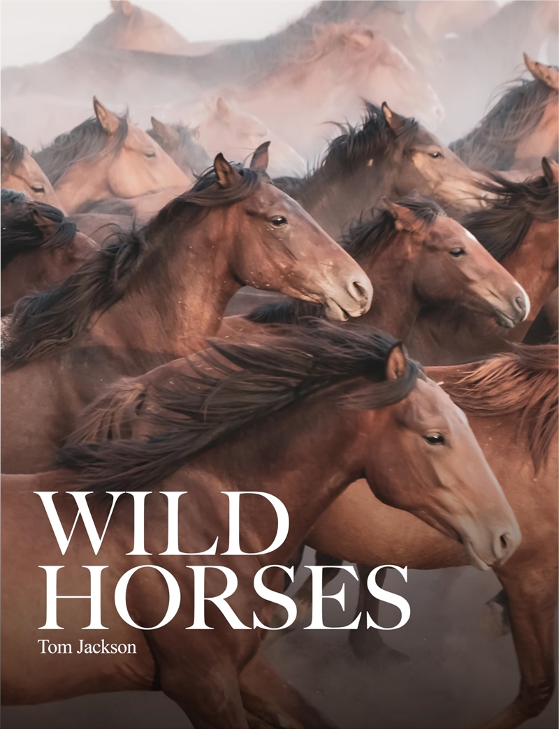 Buy Wild Horses Online | Sanity