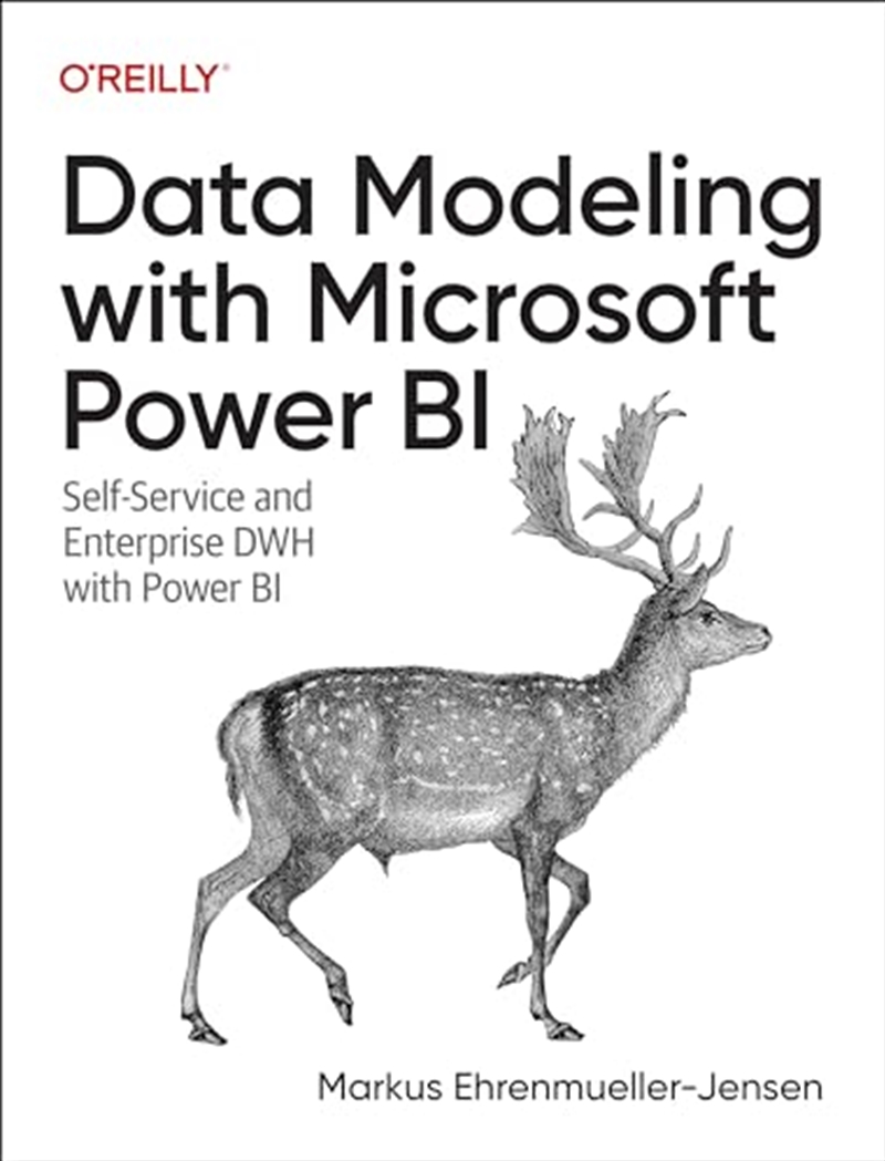Buy Data Modeling with Microsoft Power BI: Self-Service and Enterprise ...