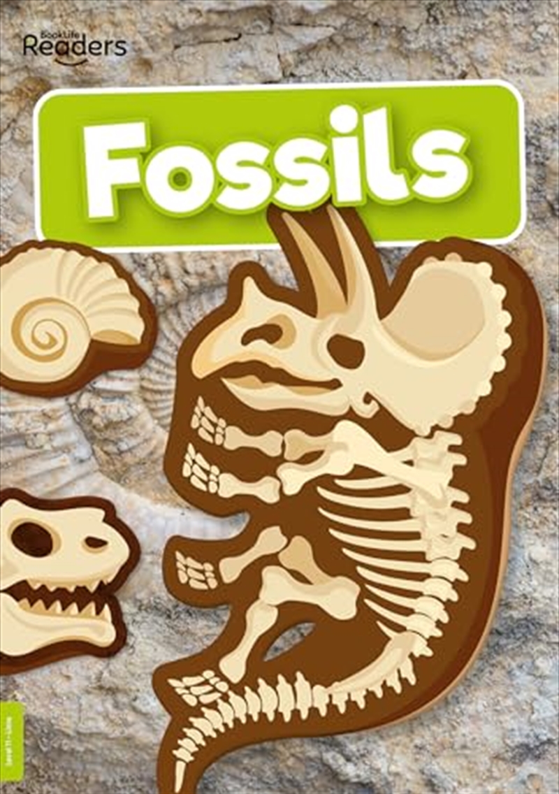 Buy Fossils Online | Sanity