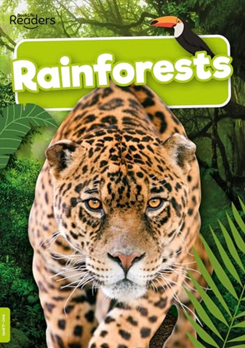 Buy Rainforests Online | Sanity