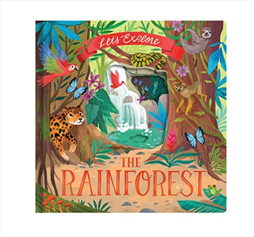 Buy Let's Explore the Rainforest Online | Sanity
