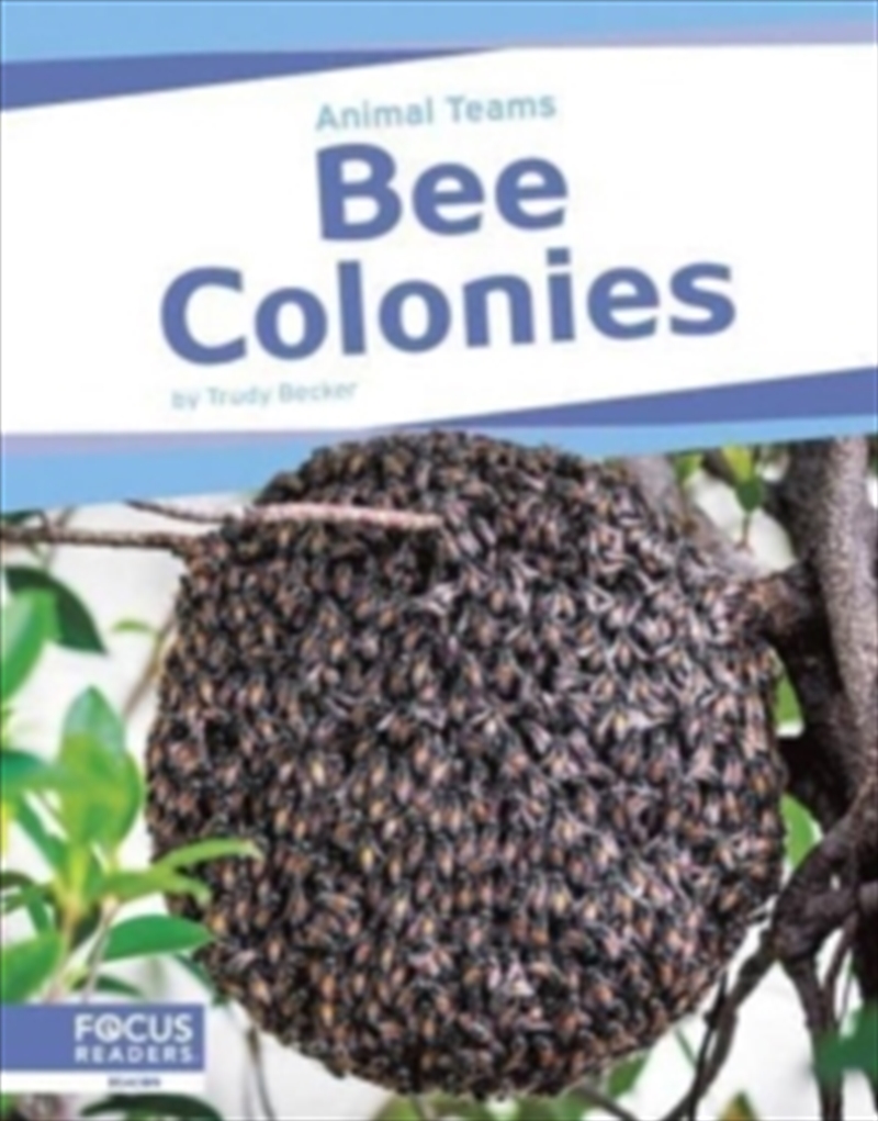 Buy Bee Colonies Online | Sanity