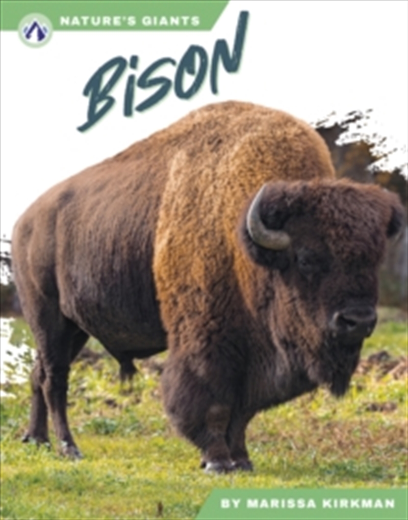 Buy Bison Online | Sanity