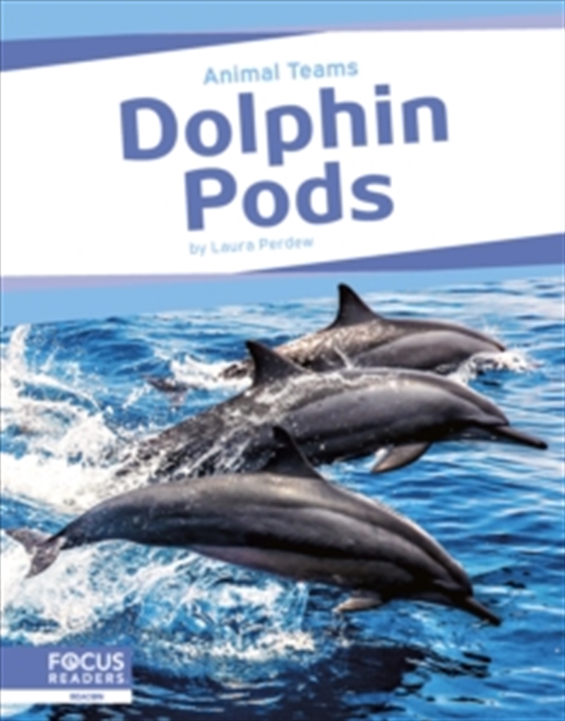 Buy Dolphin Pods Online | Sanity