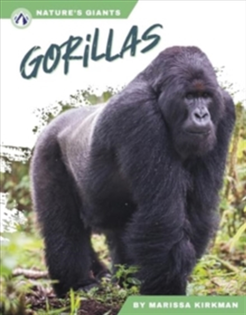 Buy Gorillas Online | Sanity