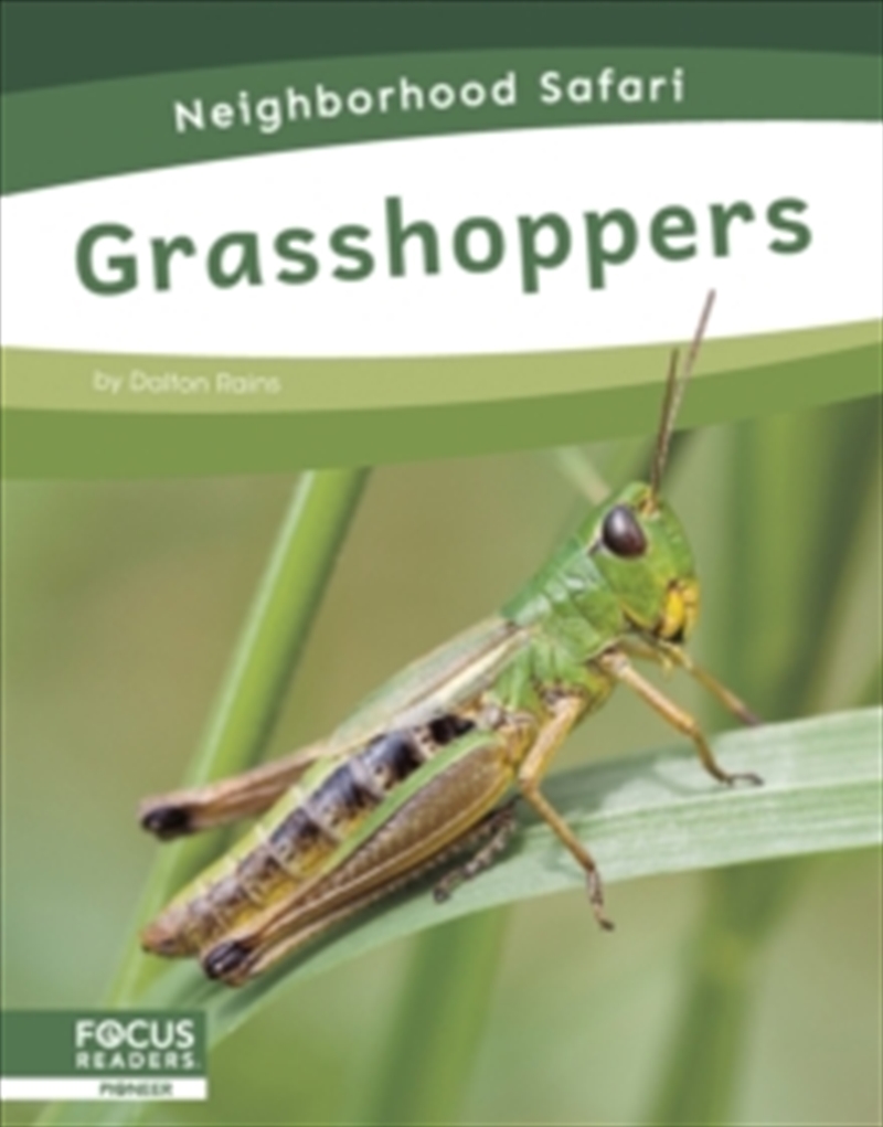 Buy Grasshoppers Online | Sanity