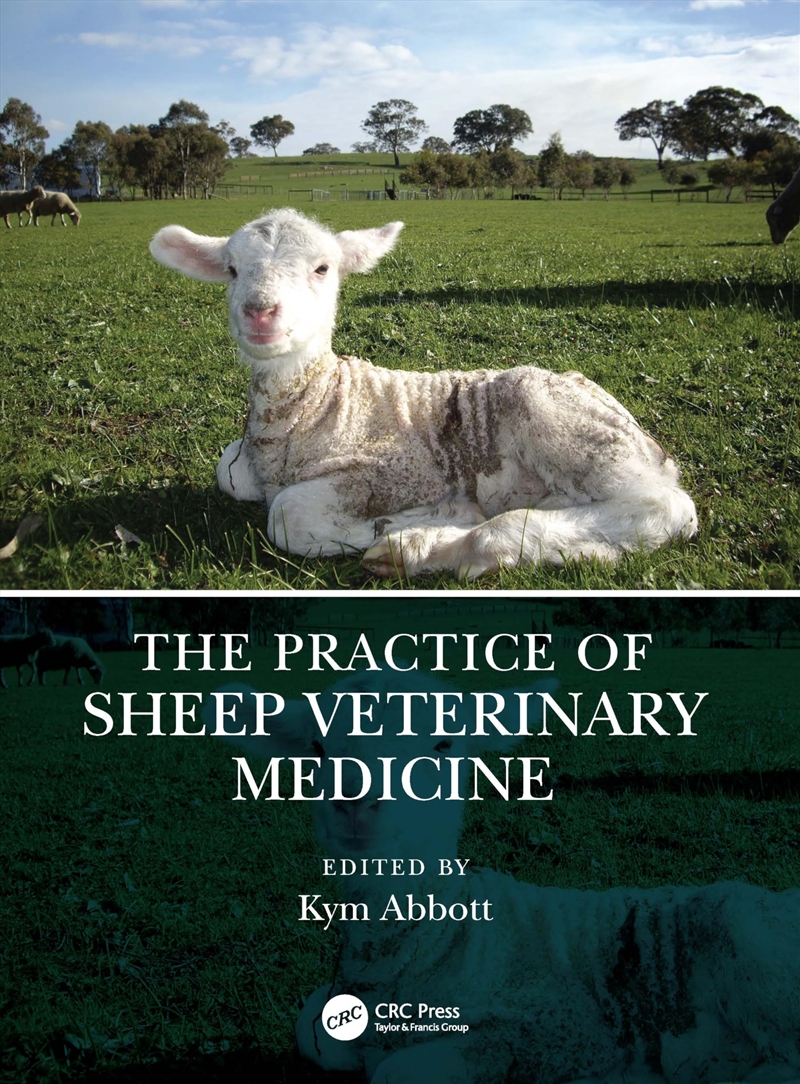 Buy The Sheep Veterinary Practice Online | Sanity