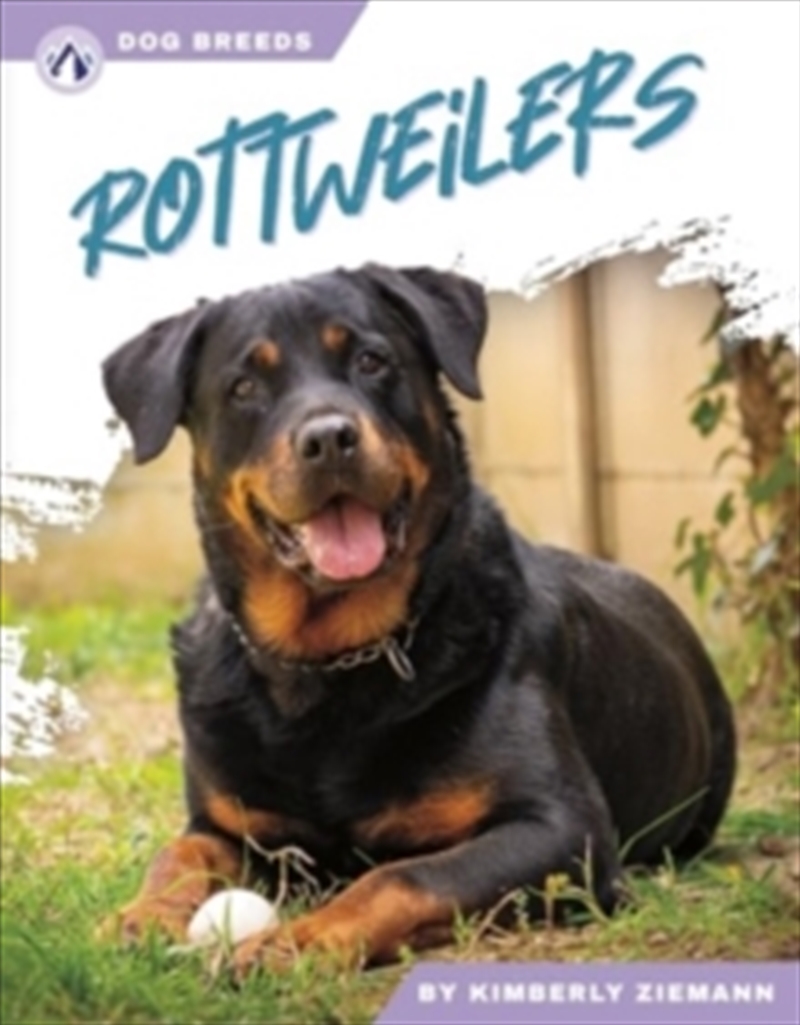 Buy Rottweilers Online | Sanity