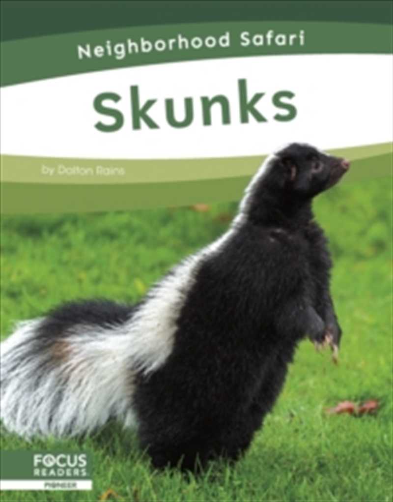 Buy Skunks Online | Sanity