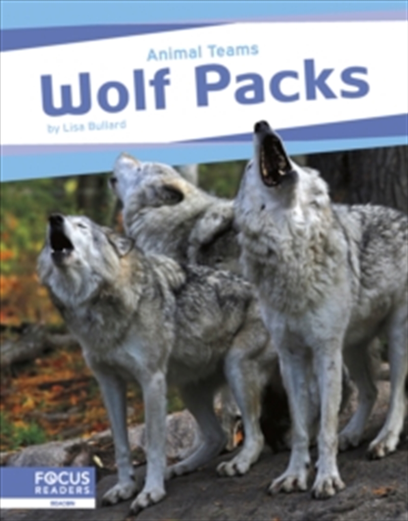 Buy Wolf Packs Online | Sanity