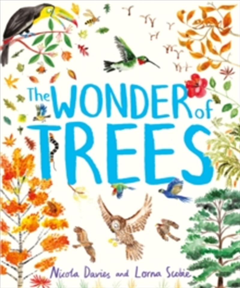 Nicola Davies - Wonder Of Trees - 9781444978704 | Sanity