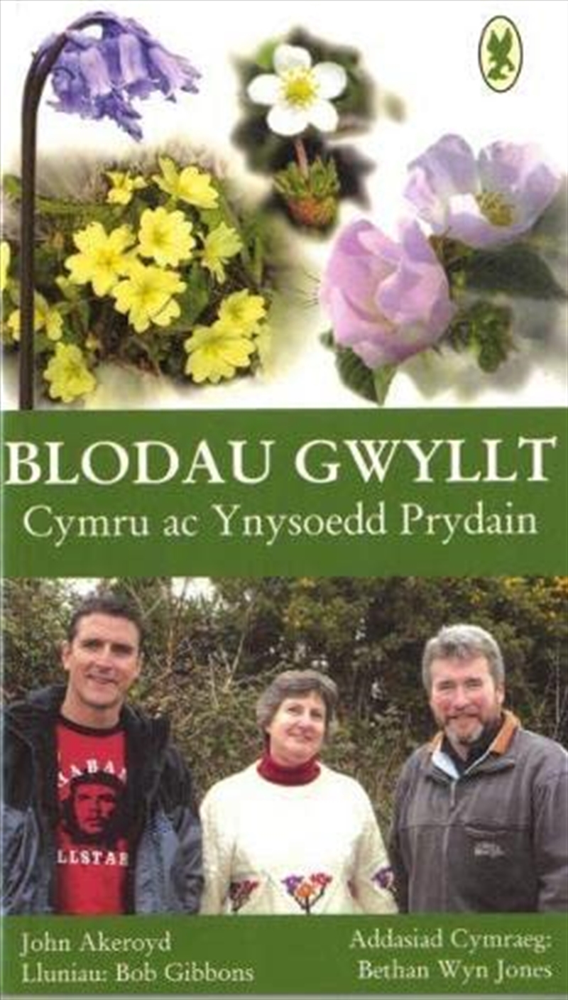 Buy Blodau Gwyllt (English and Welsh Edition) Online | Sanity