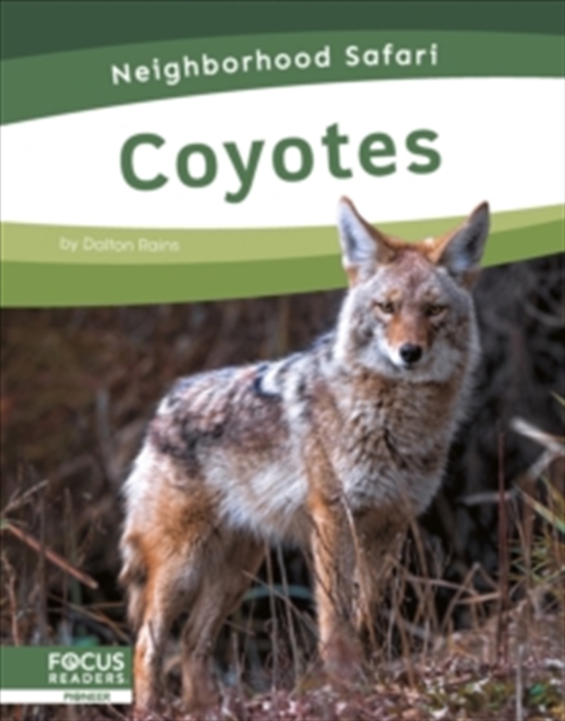Buy Coyotes Online | Sanity
