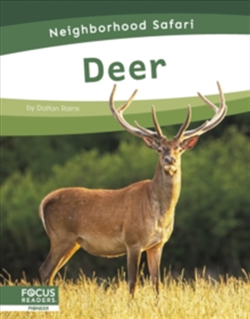 Dalton Rains - Deer - 9798889982302 | Sanity