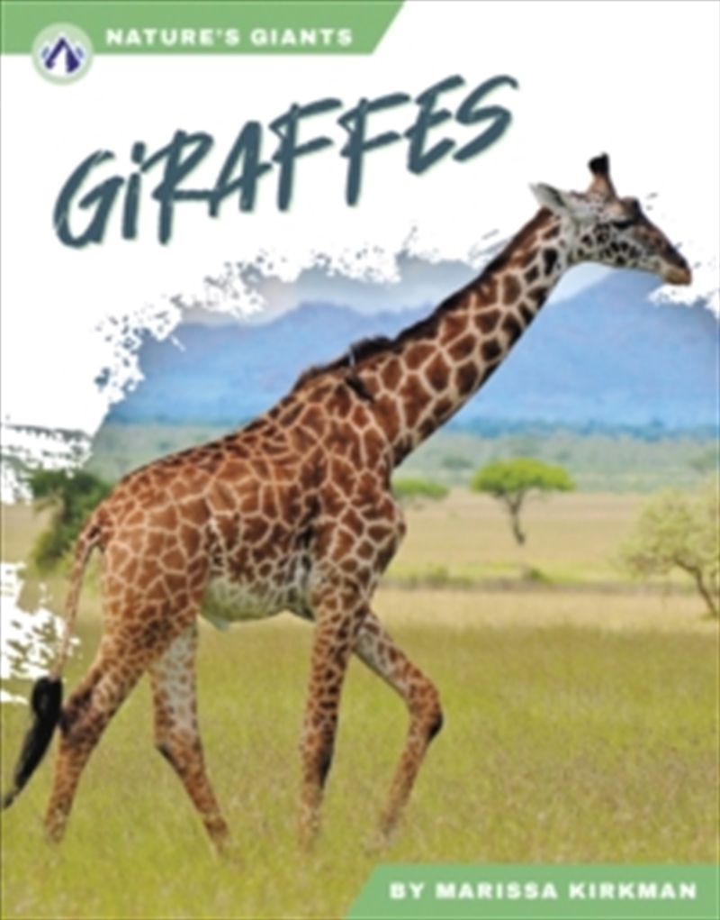 Buy Giraffes Online | Sanity