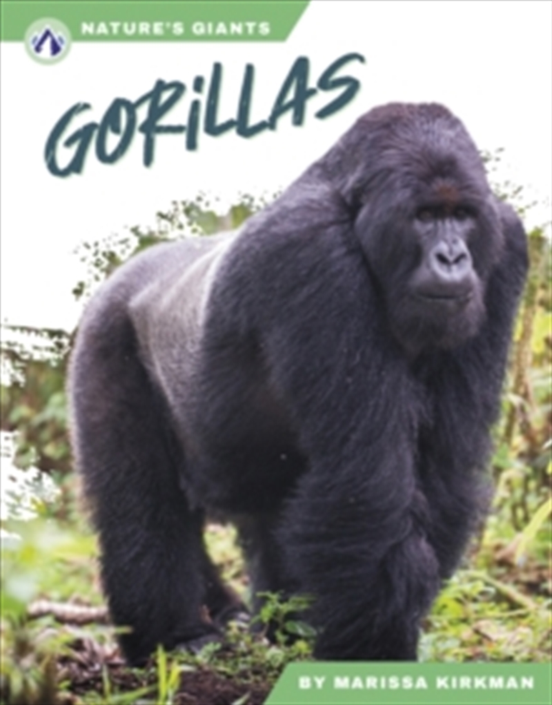 Buy Gorillas Online | Sanity