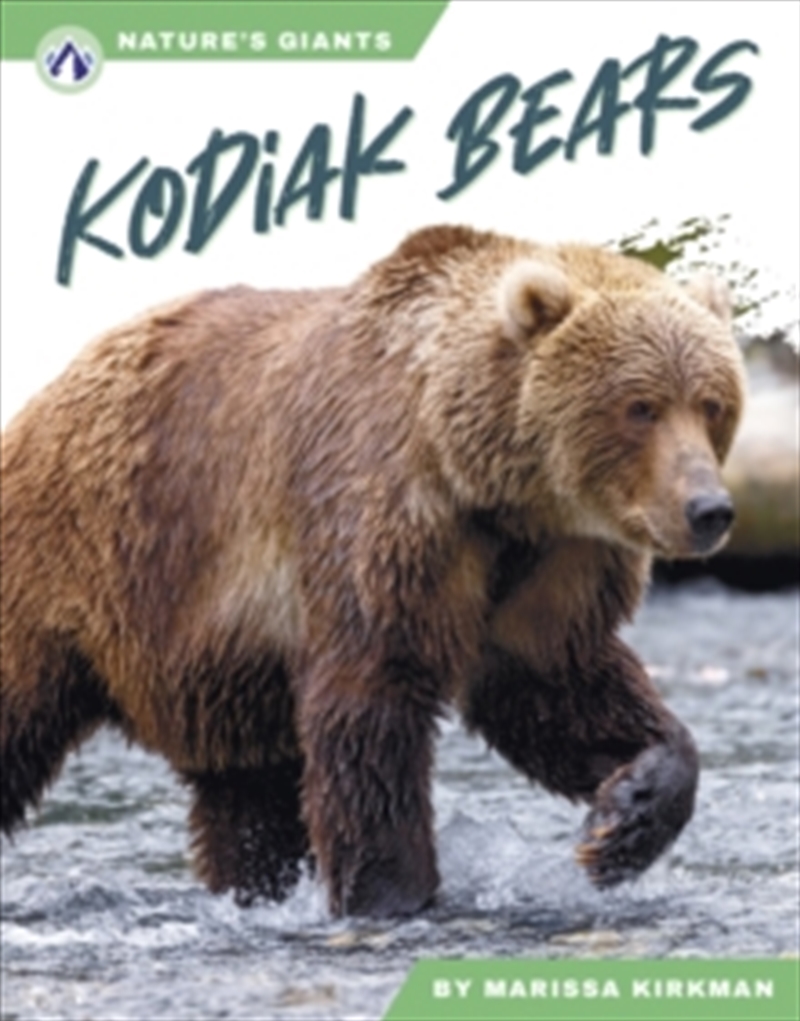 Buy Kodiak Bears Online | Sanity