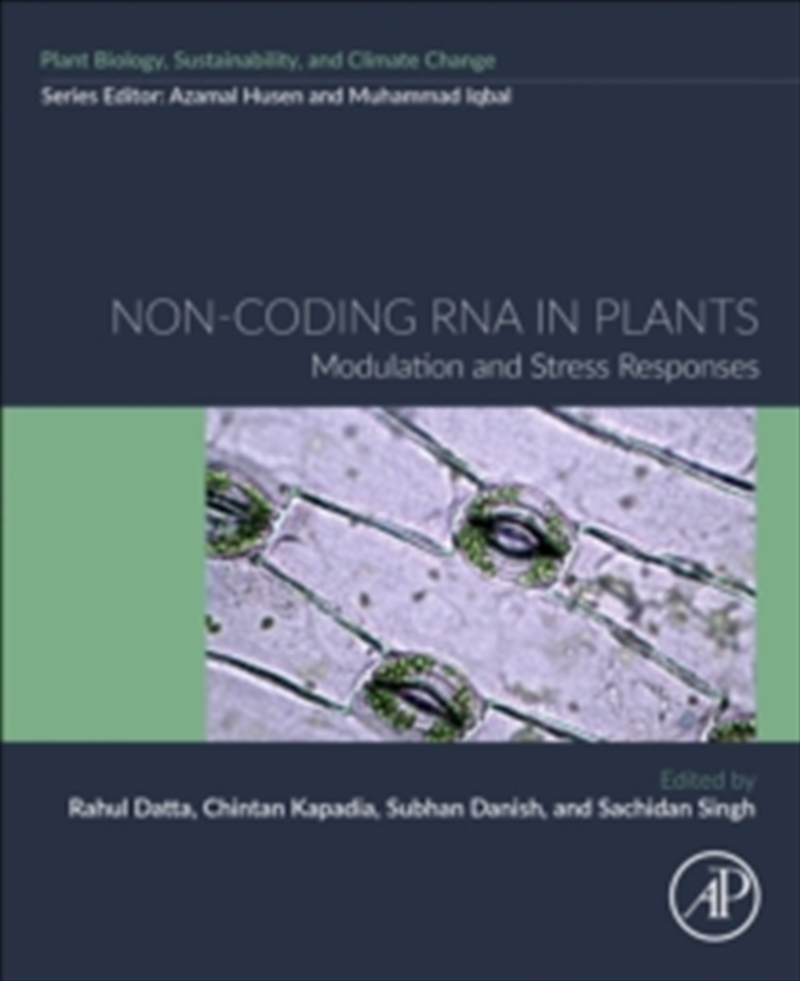 Buy Noncoding Rna In Plants Online | Sanity