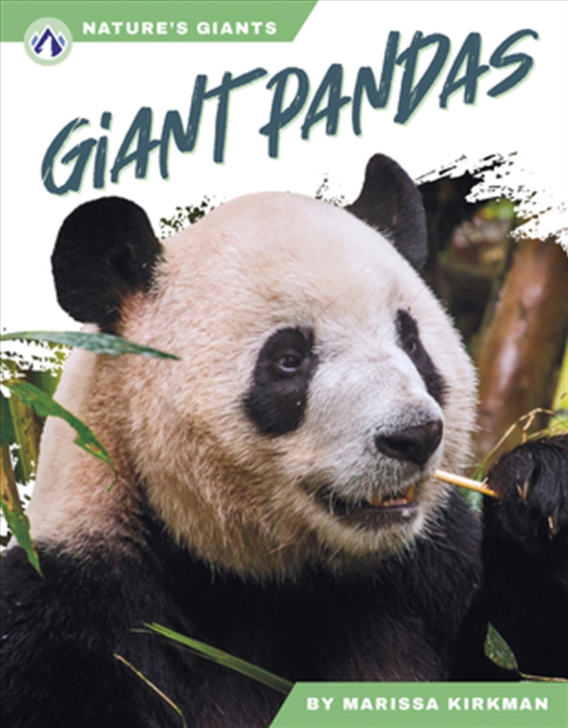 Buy Giant Pandas Online | Sanity