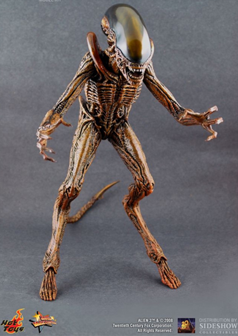 Buy Dog Alien 16" Model Kit Online | Sanity