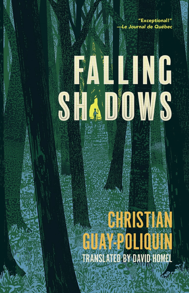 Buy Falling Shadows Online | Sanity