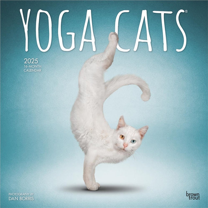 Buy Yoga Cats 2025 Square Calendar Online | Sanity