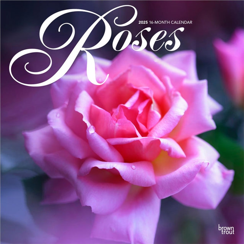 Roses 2025 Square Calendar | Sanity