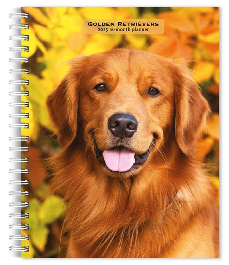 Golden Retrievers 2025 Engagement Calendar | Sanity