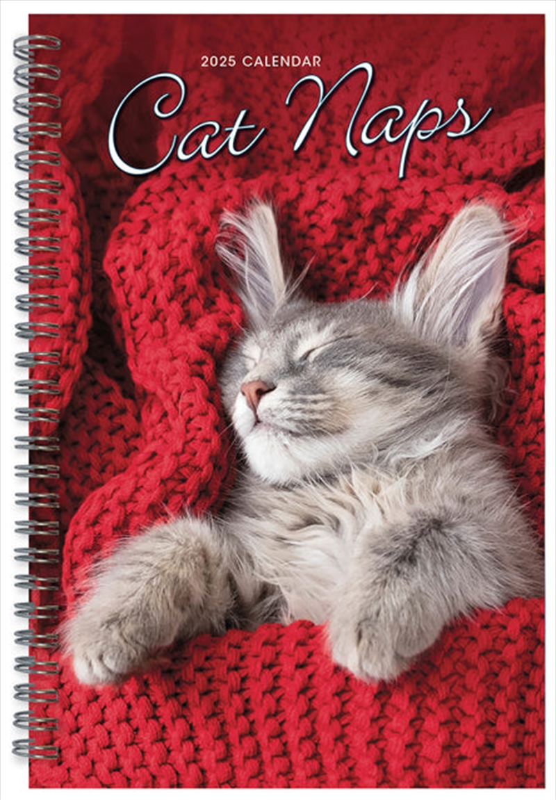 Cat Naps Classic 2025 Engagement Calendar | Sanity