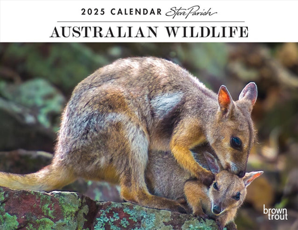 Buy Australian Wildlife S.Parish 2025 Horizontal Calendar Online | Sanity