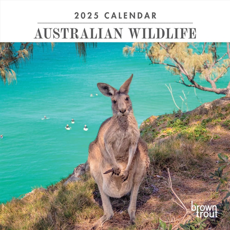 Australian Wildlife 2025 Mini Calendar | Sanity