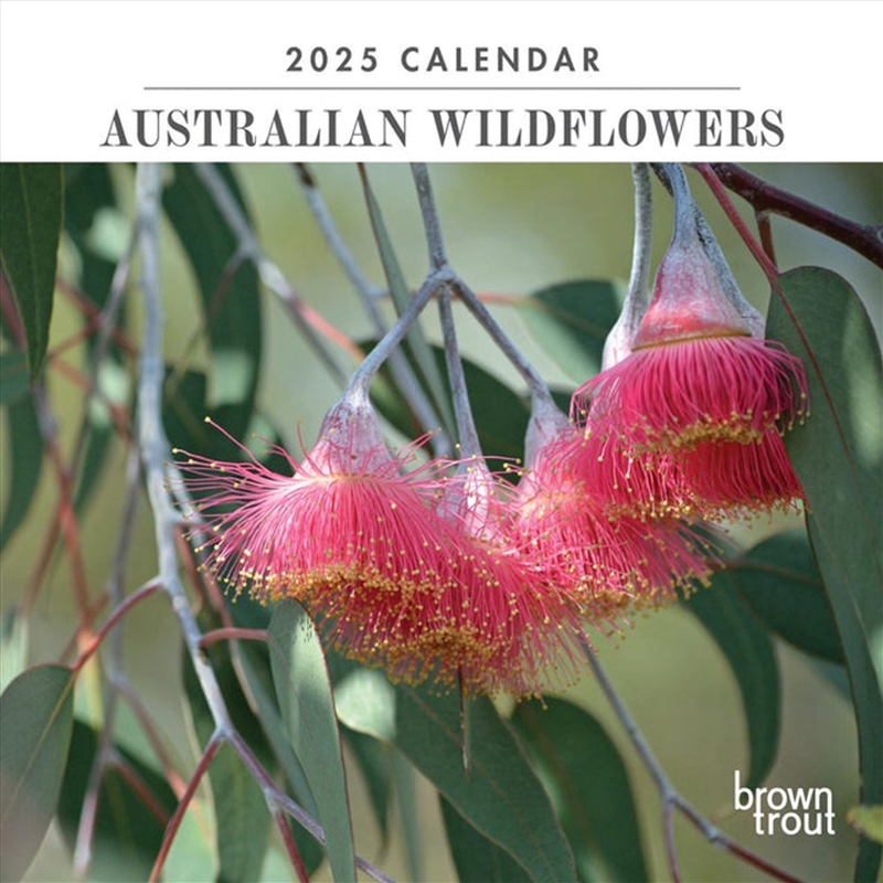 Buy Australian Wildflowers 2025 Mini Calendar Online | Sanity