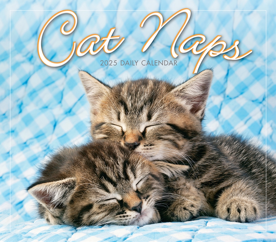 Cat Naps 2025 Boxed Calendar | Sanity