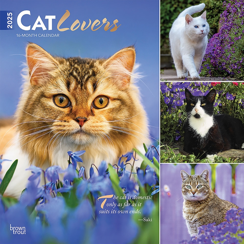 Buy Cat Lovers 2025 Square FOIL Calendar Online | Sanity