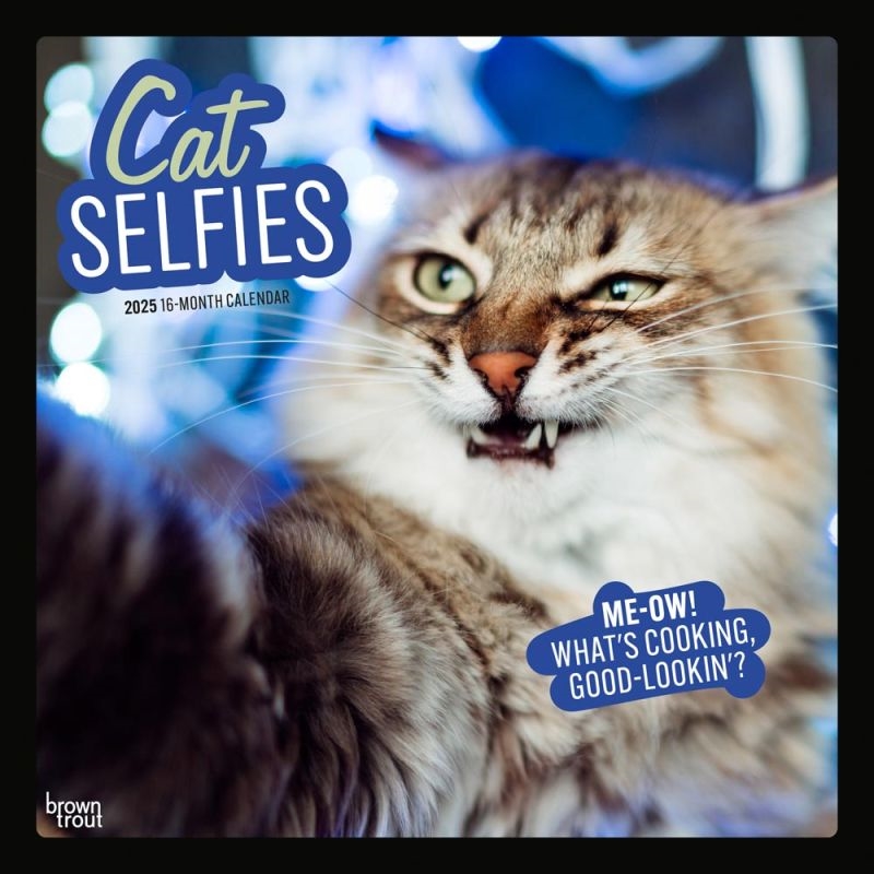 Buy Cat Selfies 2025 Square Calendar Online | Sanity