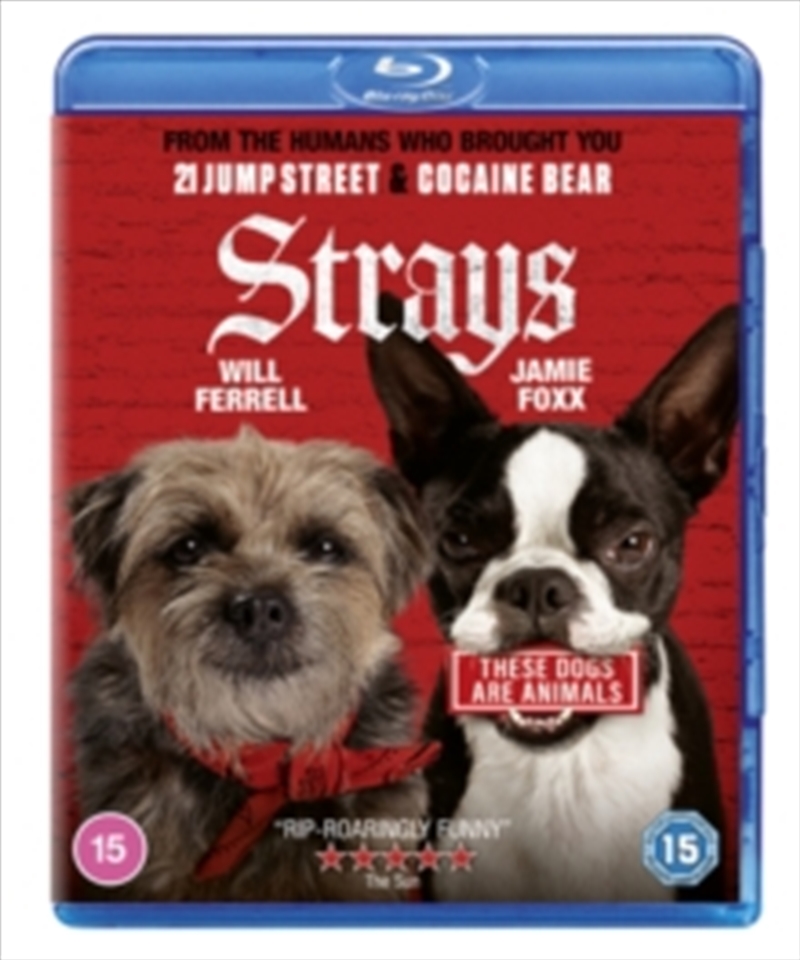 Buy Strays BLU-RAY Online | Sanity