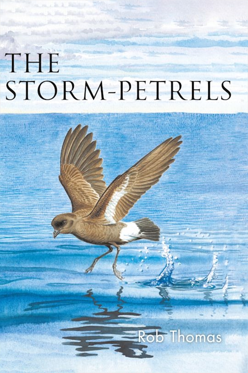 Buy The Storm-petrels Online | Sanity