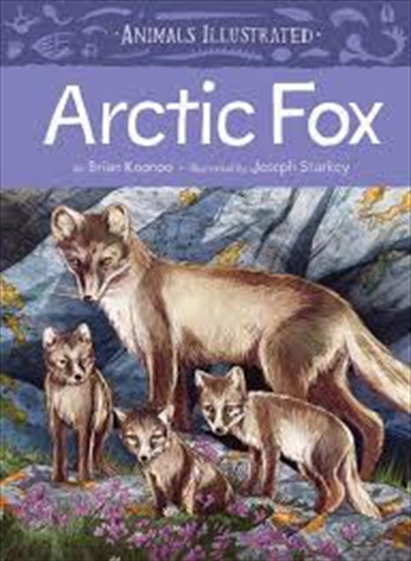 Buy Animals Illustrated: Arctic Fox Online | Sanity