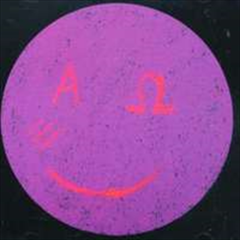 Buy How I Devoured Apocalypse Ball Online | Sanity